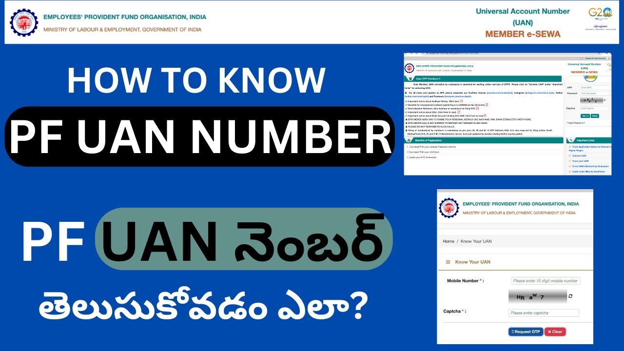 How to Know PF UAN Number in Telugu | UAN Number Ela Telusukovali | UAN ...