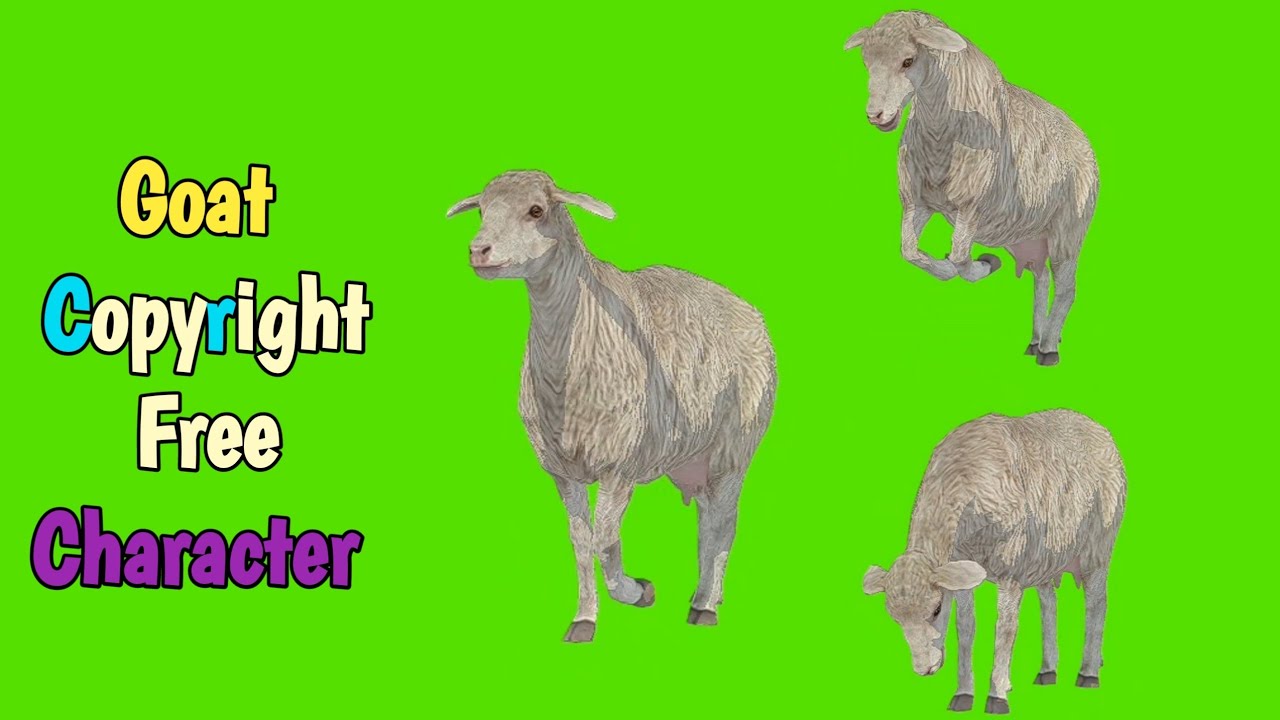 Goat Green Screen Free To Use / Goat Green Screen / Green Screen Goat ...