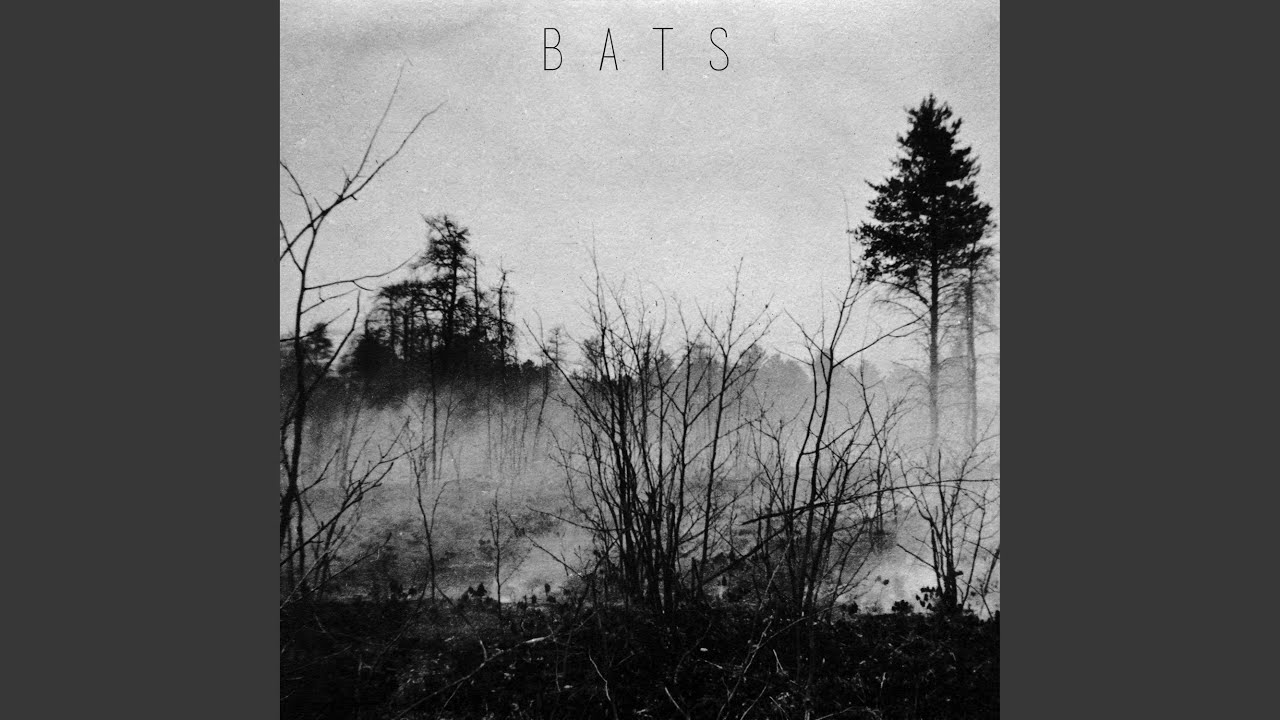 Bats - YouTube