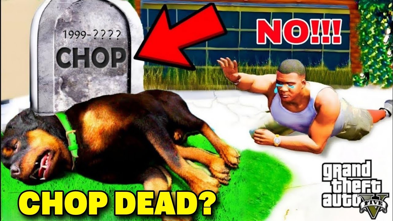 DID FRANKLIN KILL CHOP IN GTA 5? - YouTube