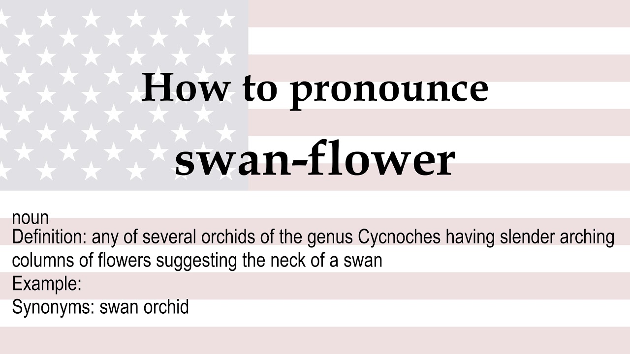 swan flower - YouTube