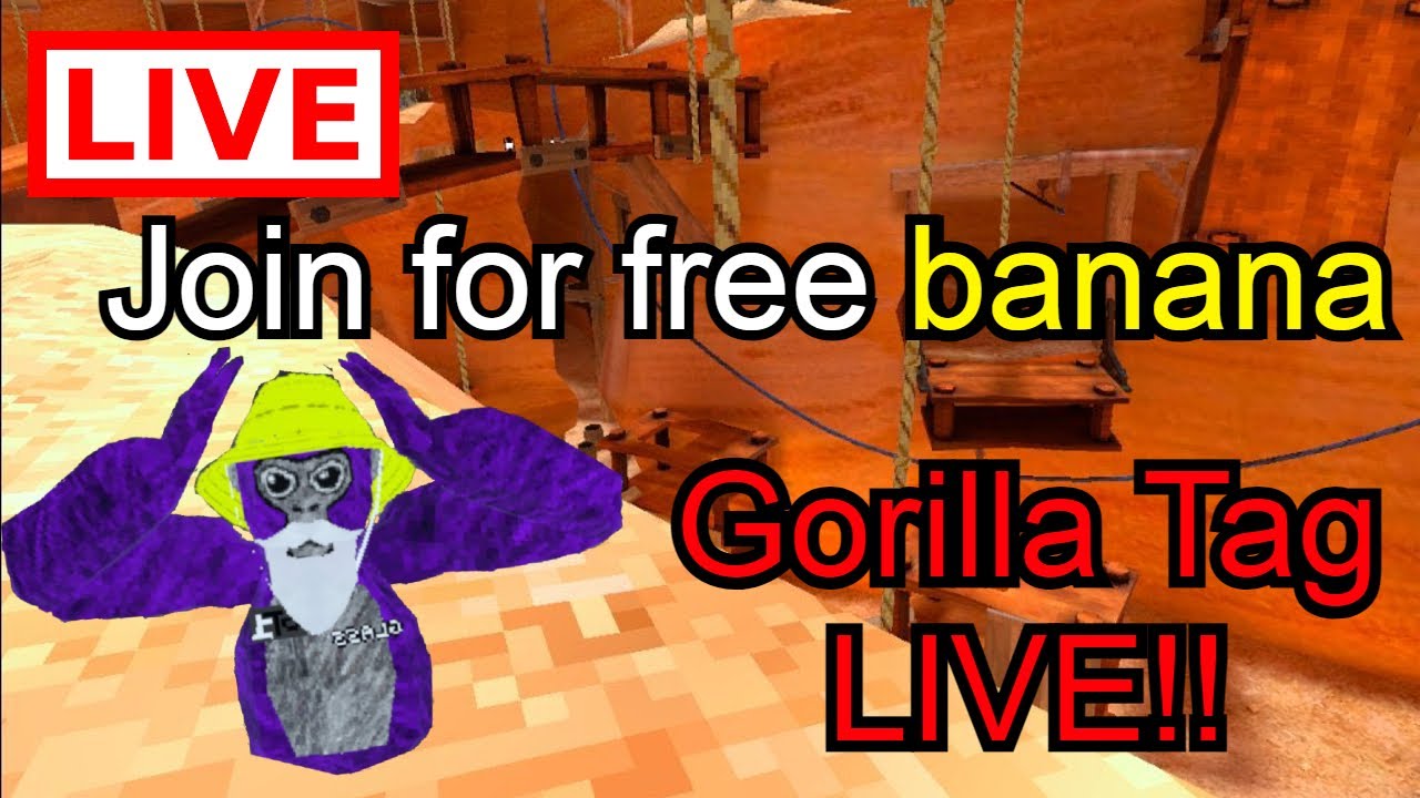 Monke Tag w viewers! | Gorilla tag - YouTube