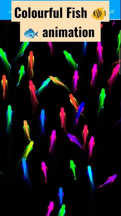 create colourful fish animation #coding #code - YouTube