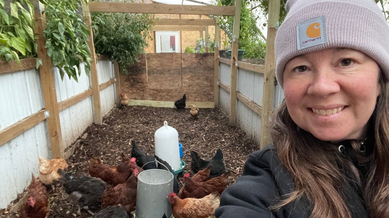 Changes we are making to our winter chicken set-up - YouTube