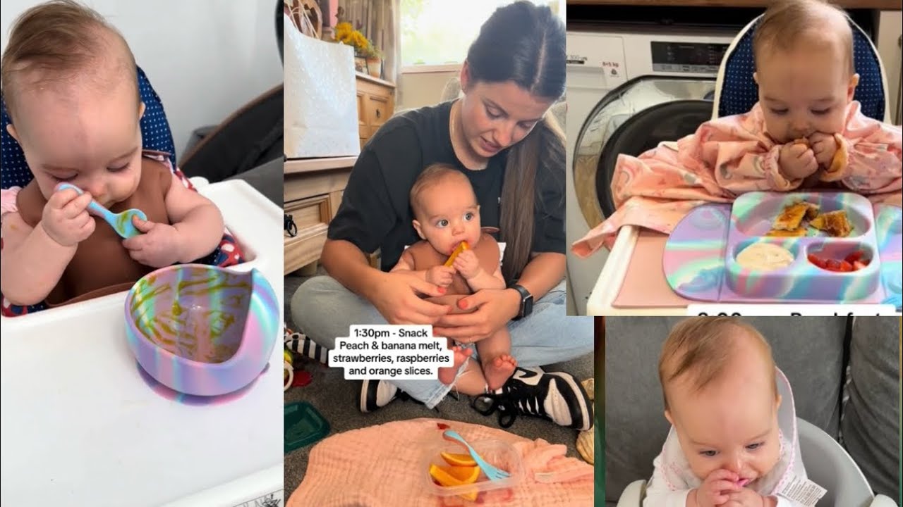 Optimal Baby Food Routine Video Guide: Ages 3 to 5 | Nutritious Meals ...