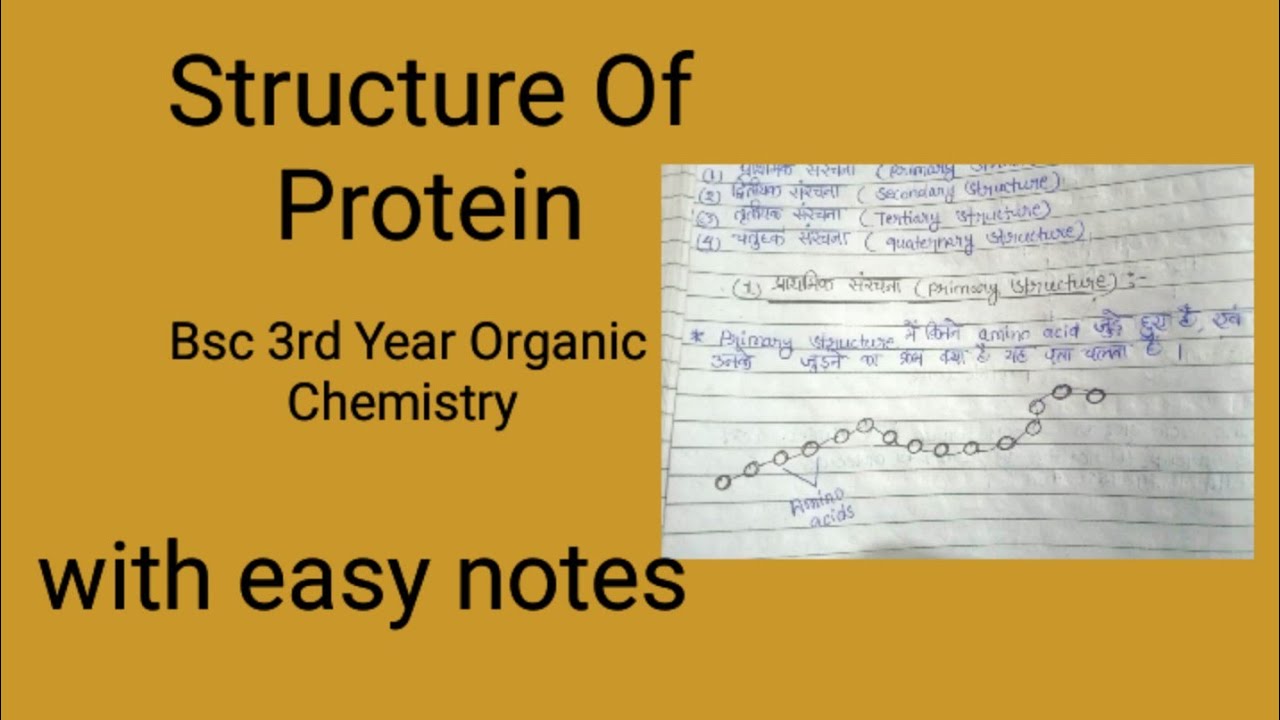 Structure Of Protein Bsc 3rd Year Organic Chemistry - YouTube