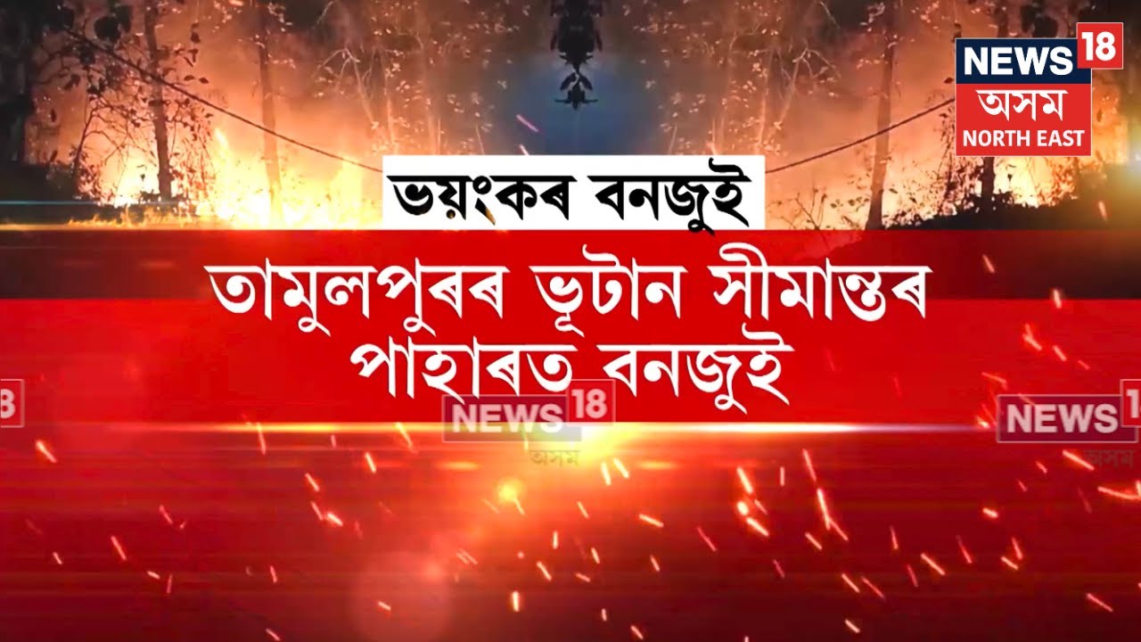 Tamulpur Wild Fire | তামুলপুৰৰ ভূটান সীমান্তৰ মঞ্জুৰগাঁওৰ সমীপৰ ভূটান ...