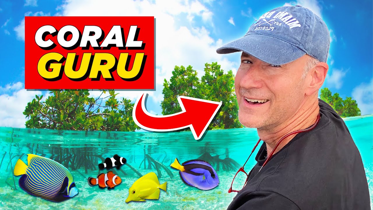 Master Reef Keeper Shows off his 300 Gallon Aquarium!! - YouTube