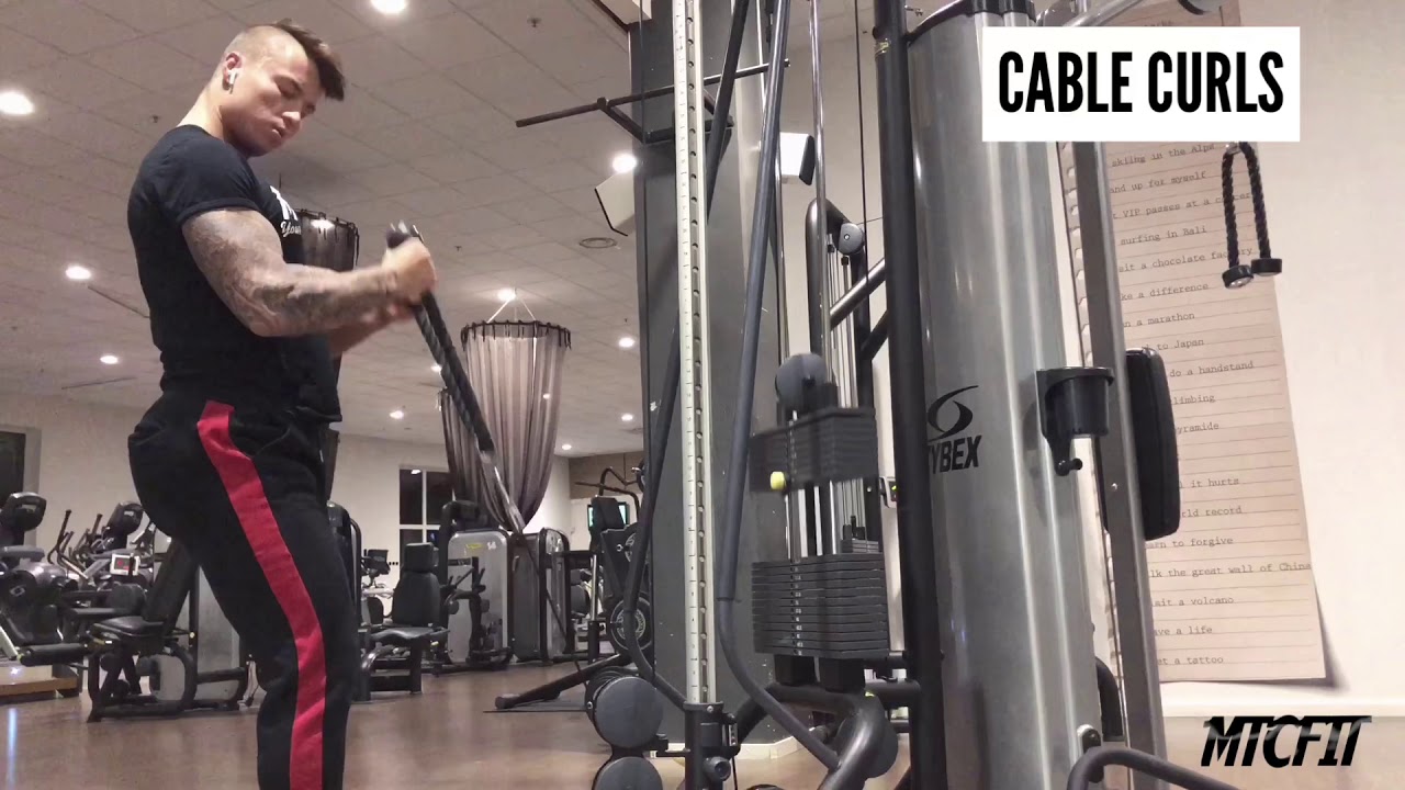 CABLE CURLS - YouTube