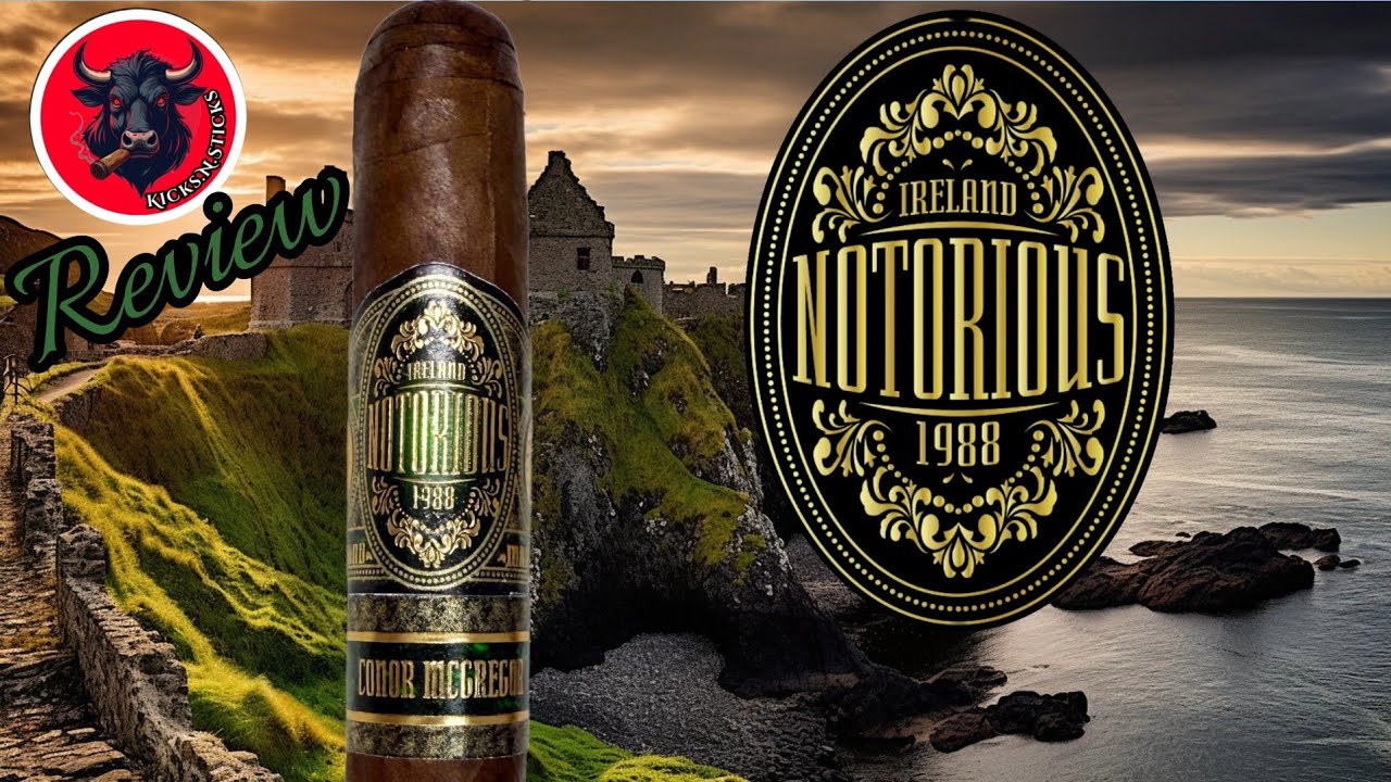 Notorious By Conor McGregor- Cigar Review - YouTube
