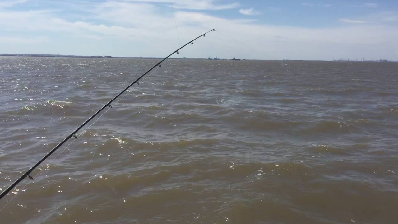 Fishing the Humber (sea fishing) - YouTube