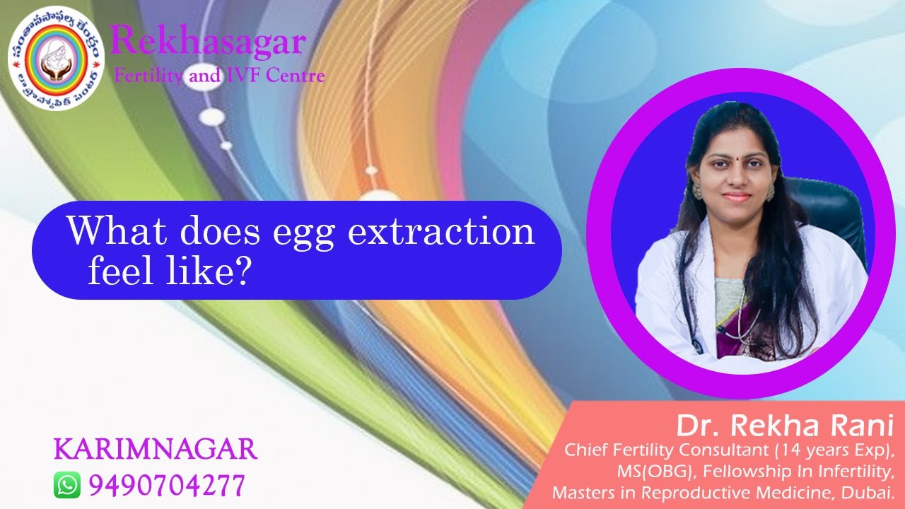 What does egg extraction feel like? Dr. Rekha Sagar - IVF Centre - YouTube