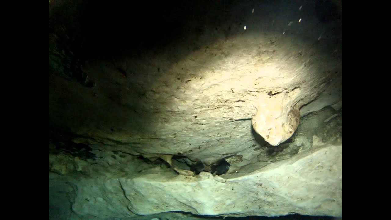 Cave Diving Jackson Blue Springs in Mariana, FL. Cavern - YouTube