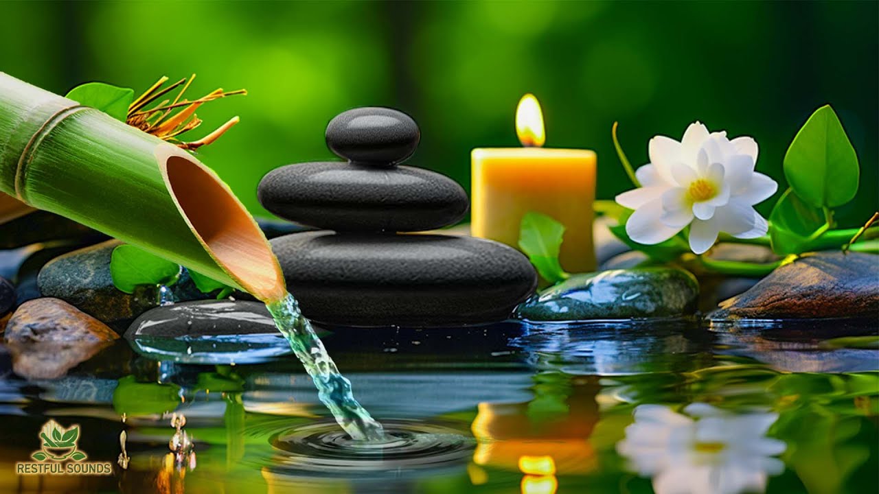 Relaxing Zen Music for Sleep & Meditation - Nature Sounds to Calm ...