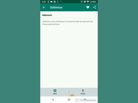 How to Create Android Dictionary App From Scratch - YouTube
