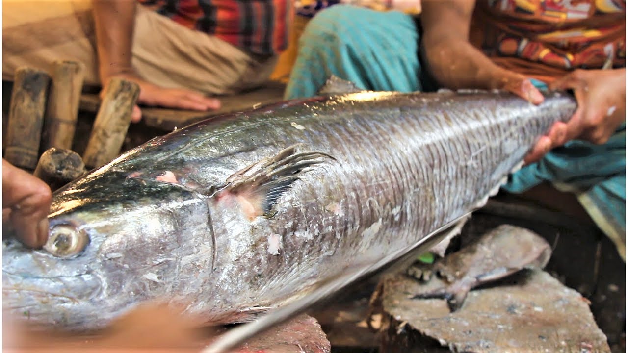 Incredible Super Speed Seer Fish Cutting skill-Surmai Fish Cutting ...