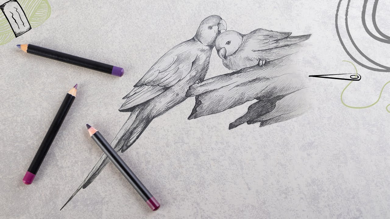 Draw a Parrot Step By Step || Easy Pencil Sketch & Shading || Blooming ...