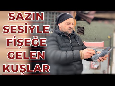 SAZIN SESİYLE FİŞEĞE GELEN KUŞLAR - UFUK DEMİRCİ KÜMES ZİYARETİ OYUNKUŞU UÇUMU