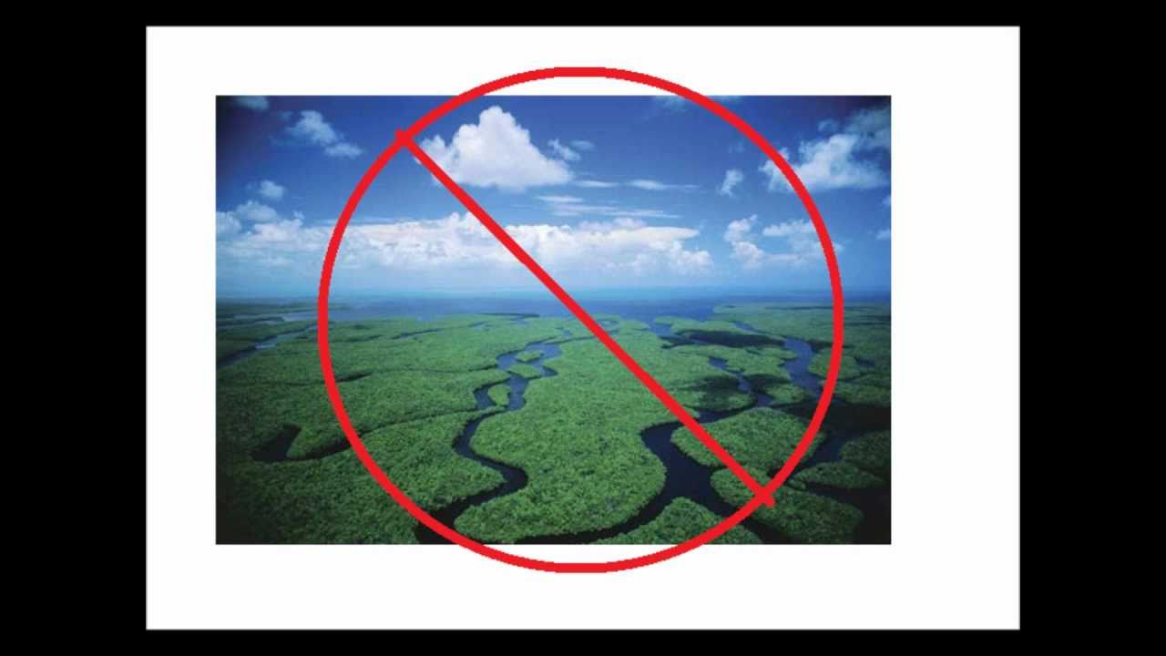 Jungle Rap Music Video - YouTube