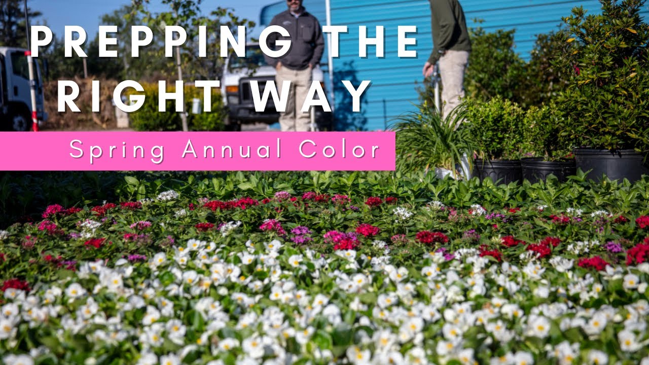 Tips: Prepping For Annual Color - YouTube