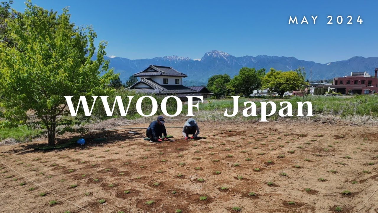 Life in rural Japan | WWOOF Japan 🏔️ (part 1) - YouTube