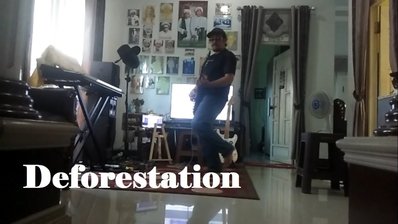 Deforestation - Hobby Music 1977 - YouTube