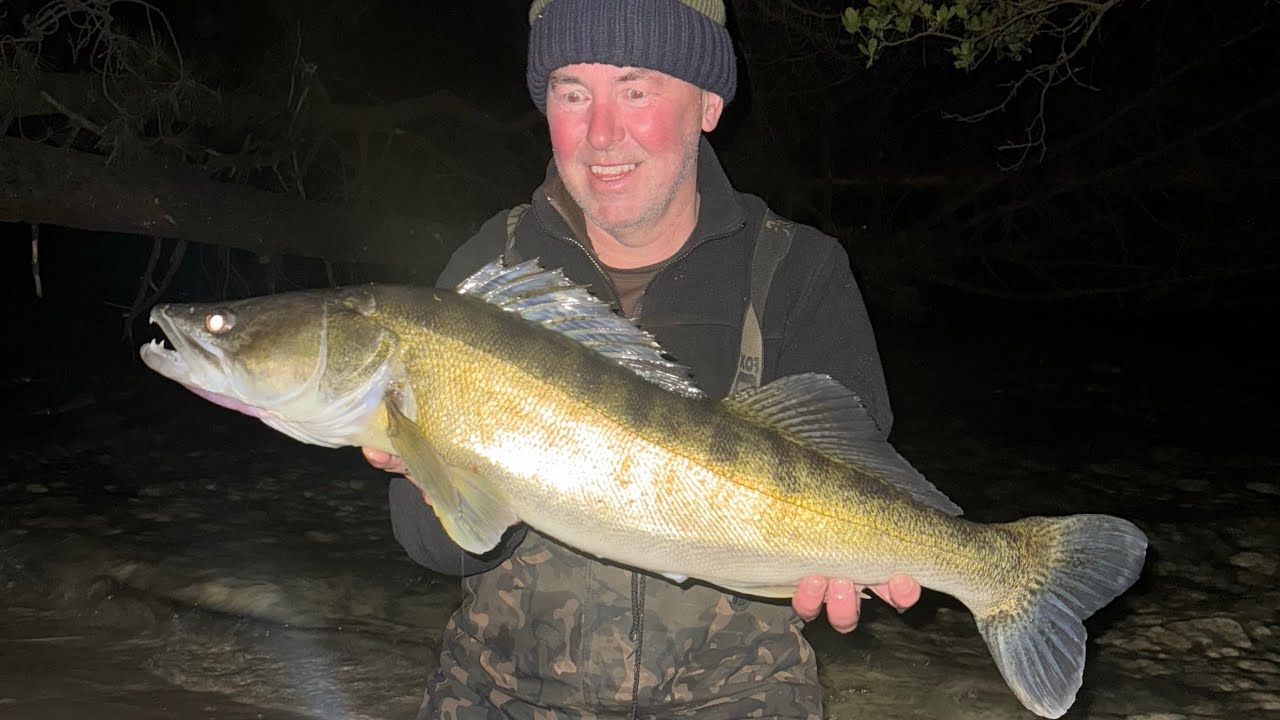 Big water Zander fishing 🎣 In-depth Zander rig - YouTube