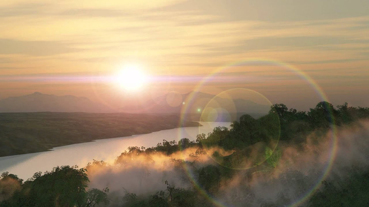 Amazon forest fly over - YouTube