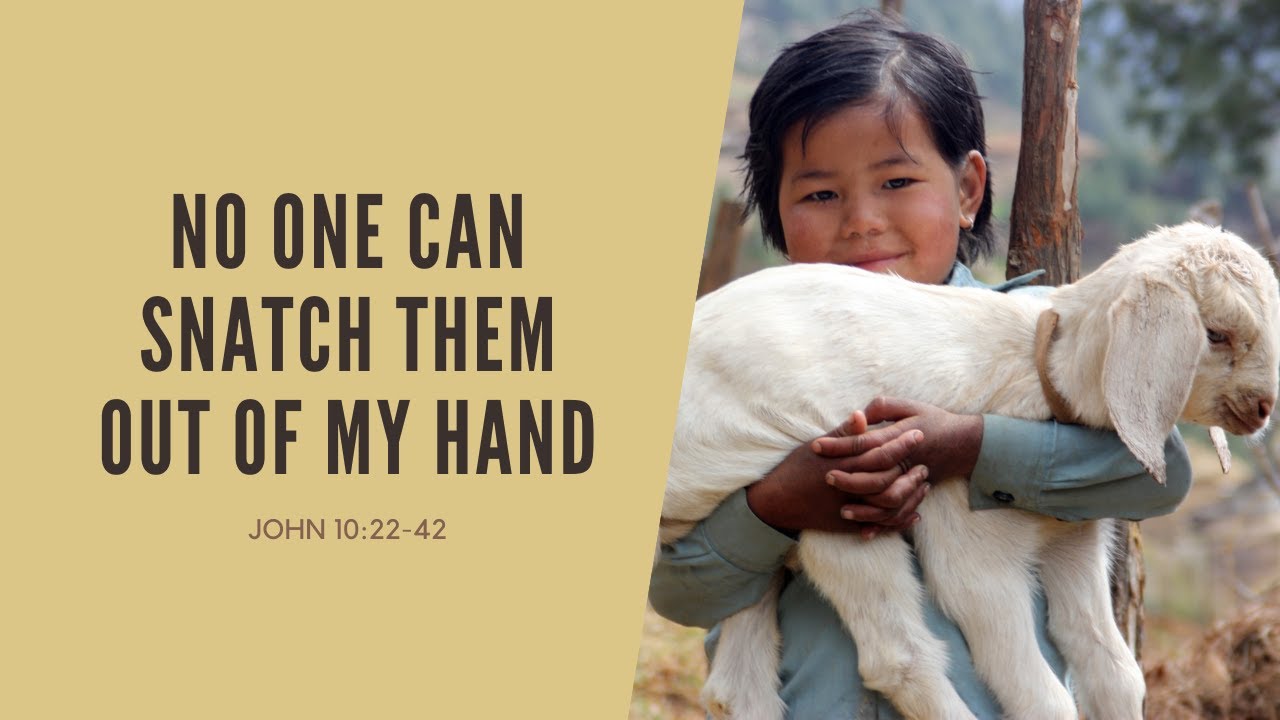 NO ONE CAN SNATCH THEM OUT OF MY HAND | John 10:22-42 - YouTube