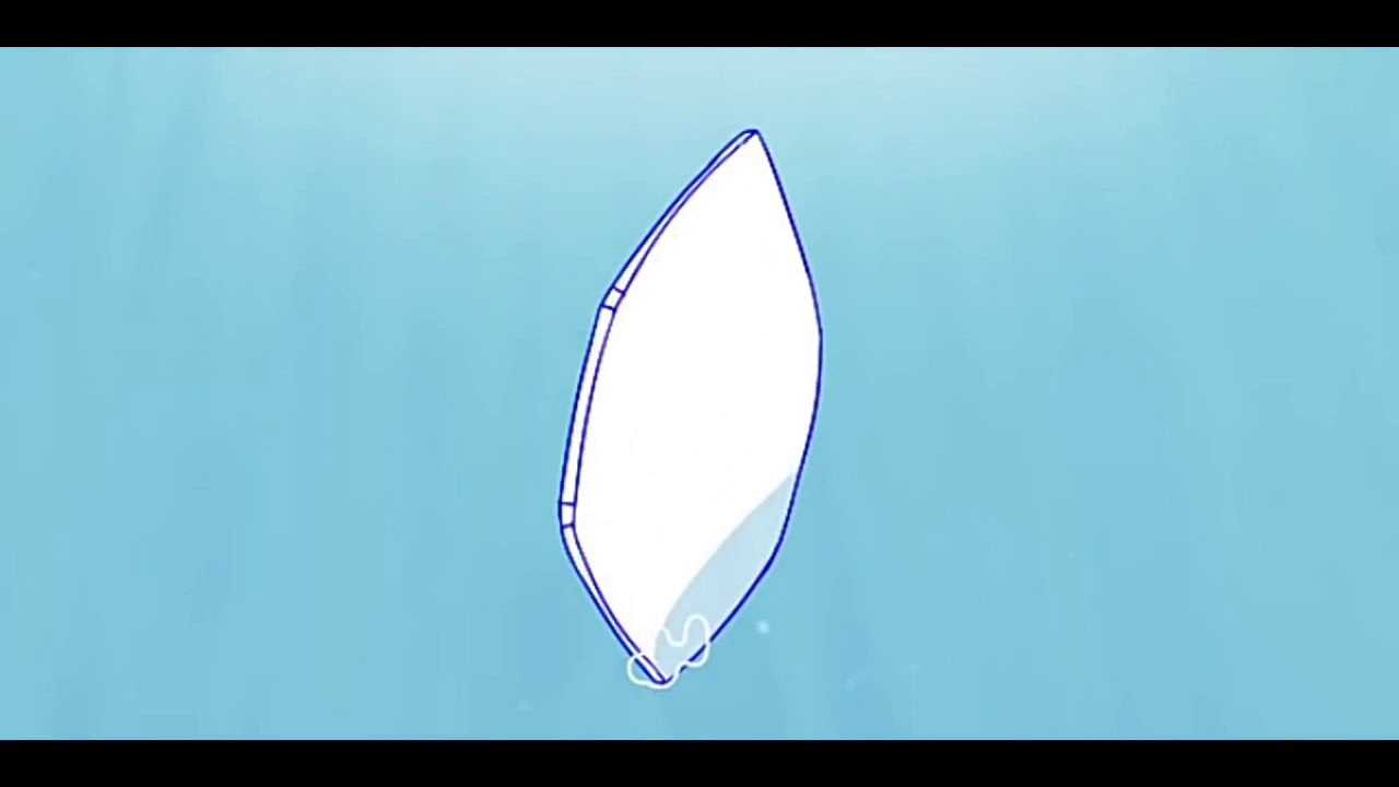 True colors-(Animated video) - YouTube