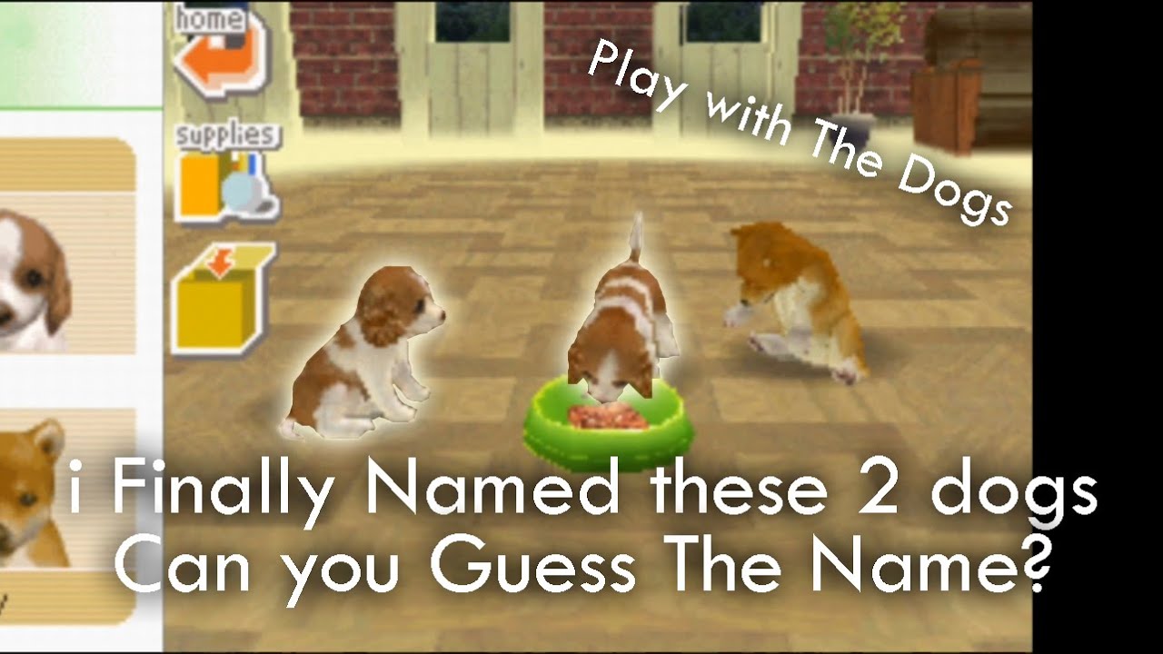 Nintendogs Lab & Friends - Play With The Dogs - YouTube