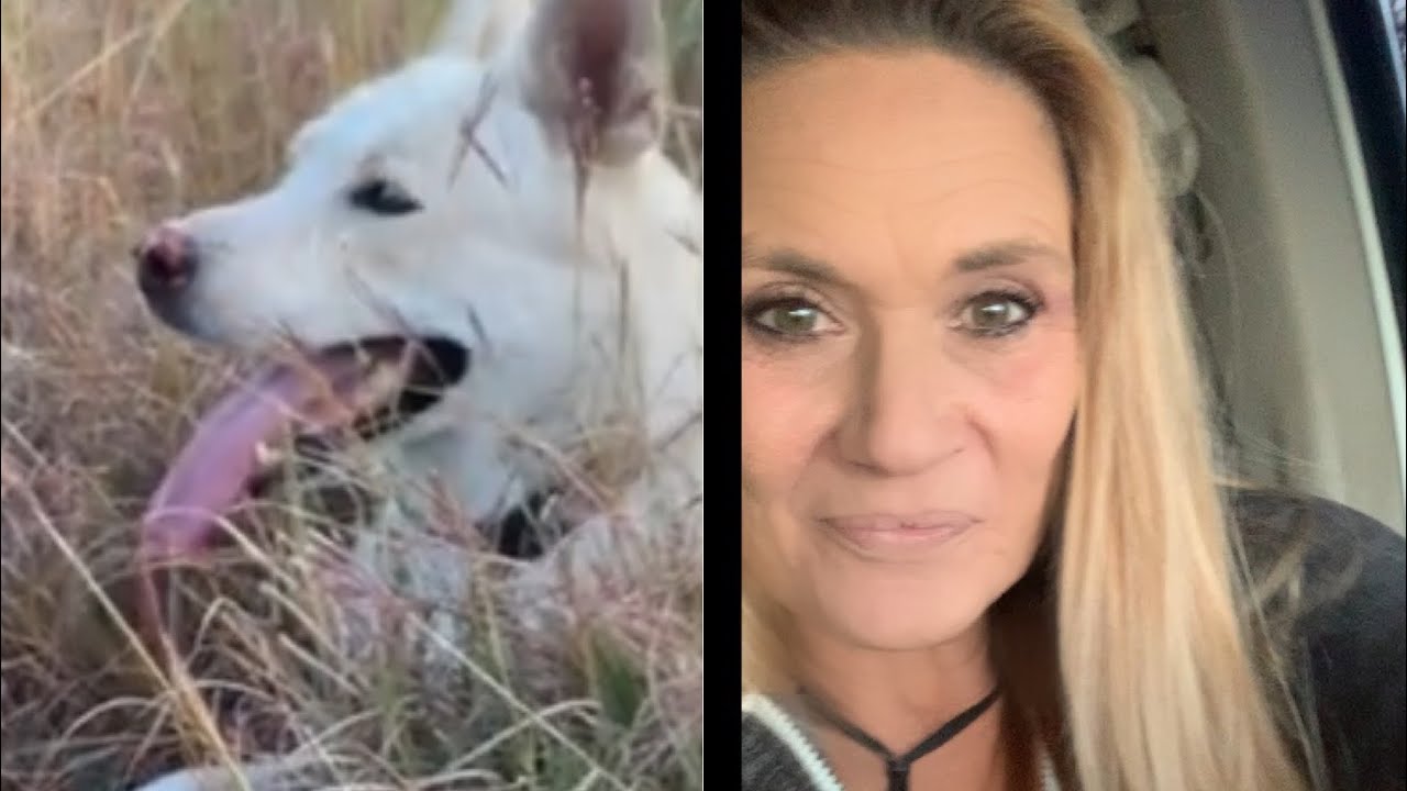 Solo female vlog introduction and dreaming of full time nomadic ...
