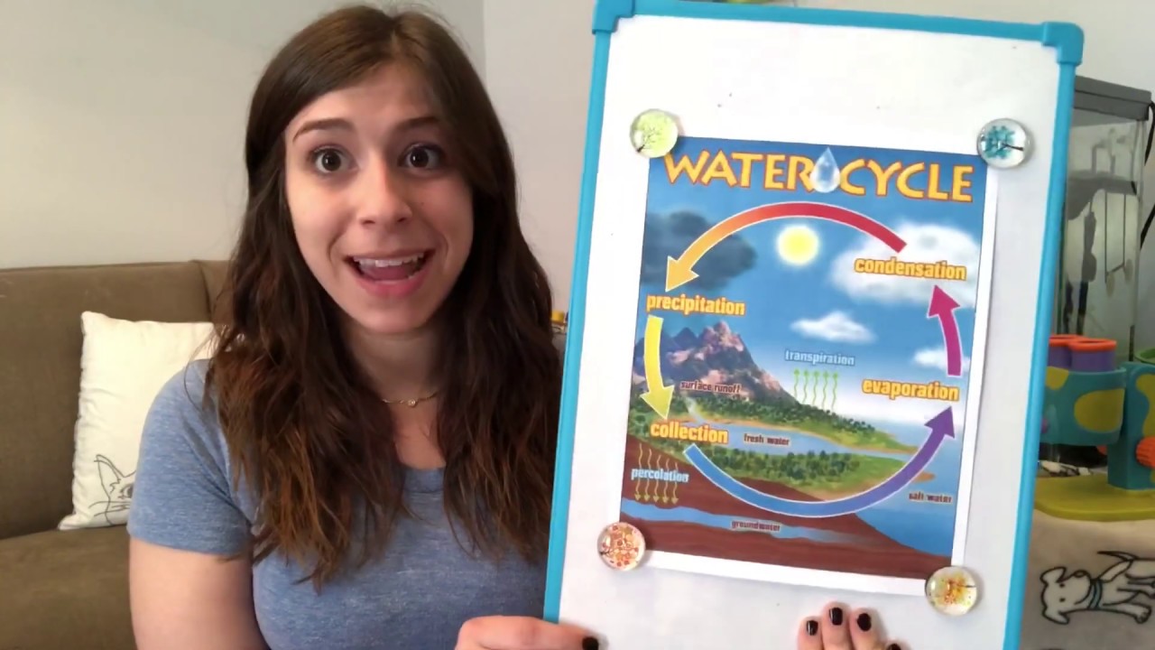 “Drippy the Raindrop” (Shorter) Water Cycle Science and Stories with ...