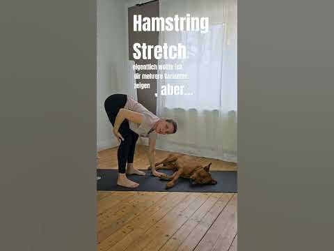 Hamstring Stretch mit Streicheleinheiten - Oberschenkelrückseite dehnen auch für Anfänger - YouTube