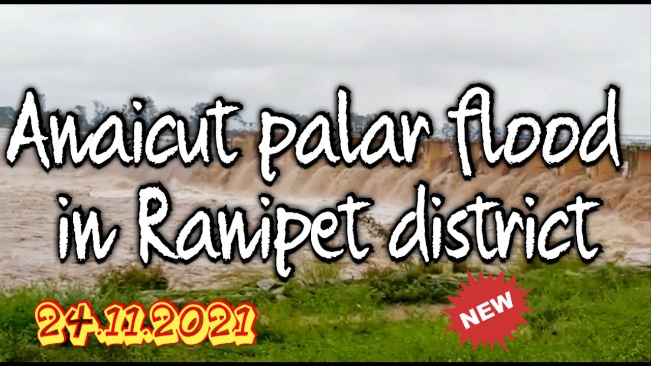 𝐀𝐧𝐚𝐢𝐜𝐮𝐭 𝐩𝐚𝐥𝐚𝐫 𝐟𝐥𝐨𝐨𝐝 2021|𝐖𝐚𝐥𝐚𝐣𝐚𝐩𝐞𝐭|𝐑𝐚𝐧𝐢𝐩𝐞𝐭 𝐝𝐢𝐬𝐭𝐫𝐢𝐜𝐭|𝐌𝐨𝐡𝐚𝐧𝐫𝐚𝐣𝐢'𝐬𝐯𝐢𝐞𝐰 # ...