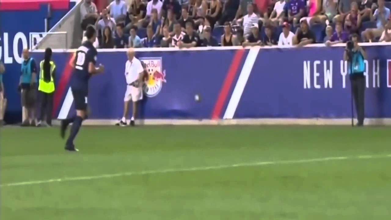 Zlatan Ibrahimovic Horror Foul on Tatarusanu PSG vs Fiorentina 2015 ...