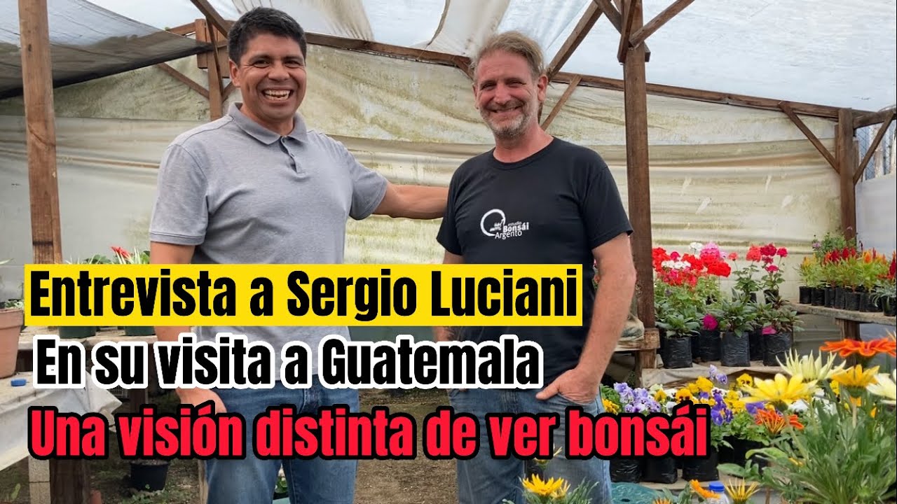 Entrevista a Sergio Luciani, una visión distinta de ver el Bonsái ...