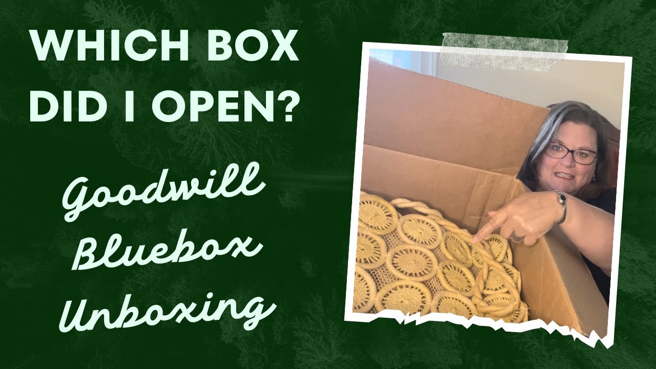 Goodwill Bluebox Unboxing. Apparel box OR Vintage Y2K?? Watch and find ...