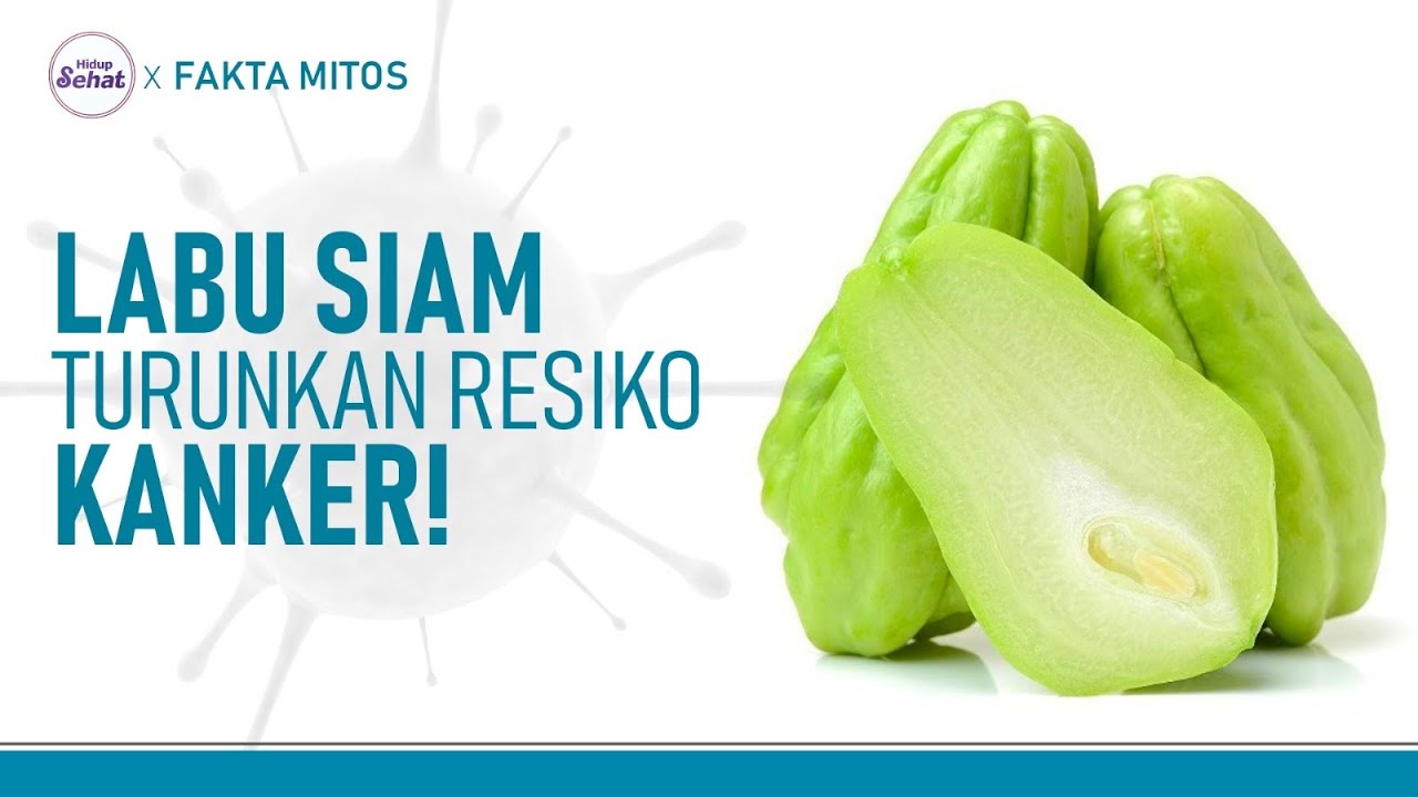 Terbukti Ilmiah, Labu Siam Turunkan Resiko Kanker! | Hidup Sehat tvOne ...