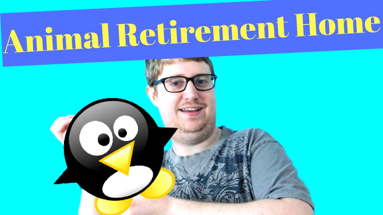 Animal Retirement Home - Dose of Positive News - YouTube
