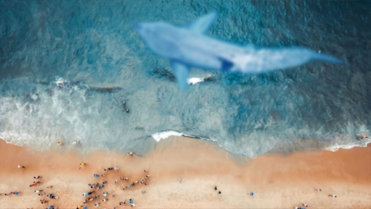 Top 5 Scary Megalodon Discoveries That Haunt The Ocean - YouTube