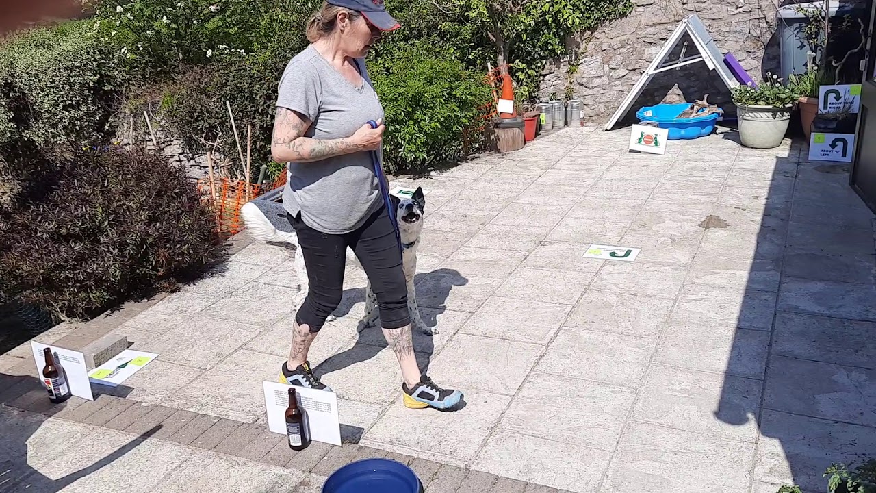 L1 challenge Misty moo Alison Dyer - YouTube