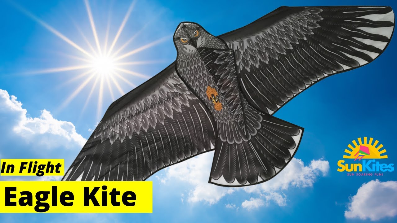 Eagle Kite by Sun Kites® - In Flight - YouTube
