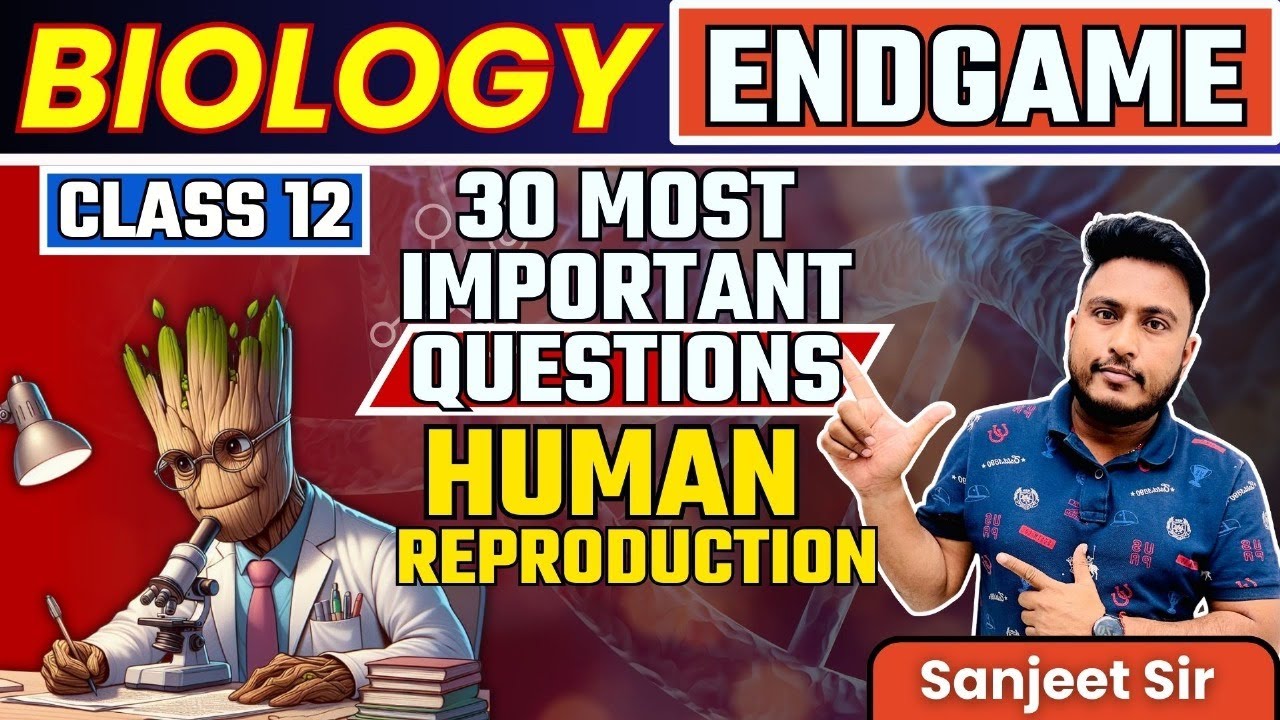 Class 12 Biology Most Important Questions | Human Reproduction by ...