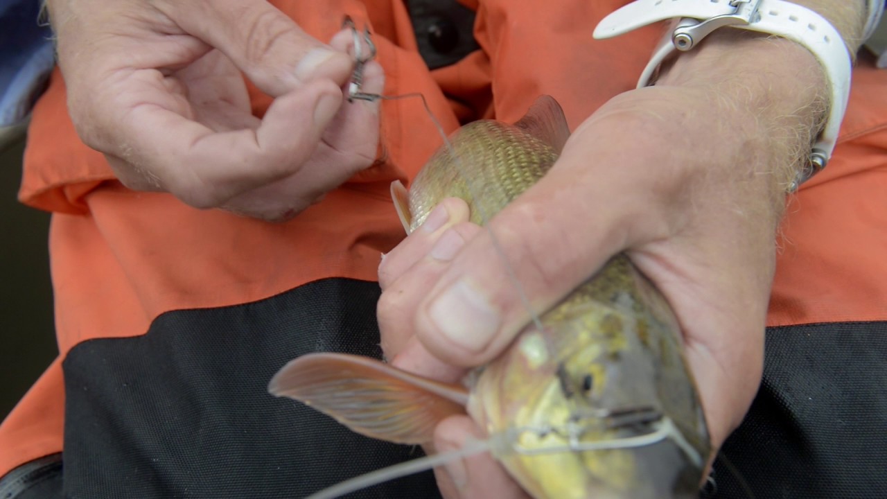 The Quick-Strike Rig With Pete Maina - YouTube