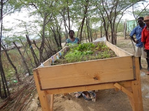 Roots & Shoots Project of the Month — June 2016 - YouTube