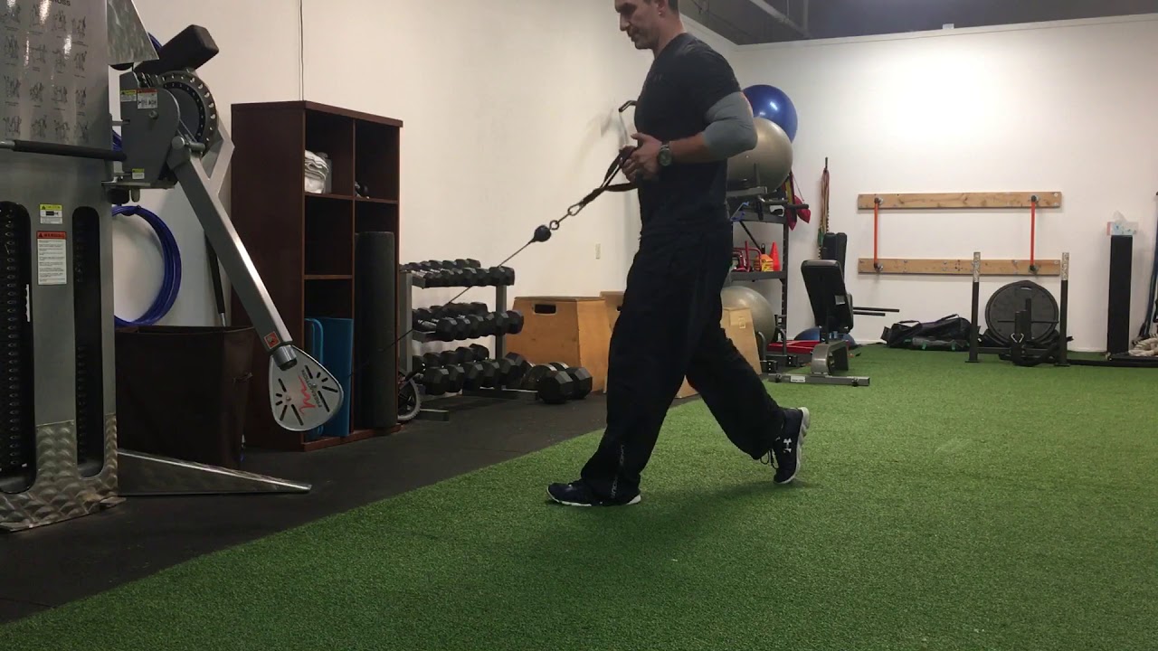 Split Stance Squat Rows - YouTube