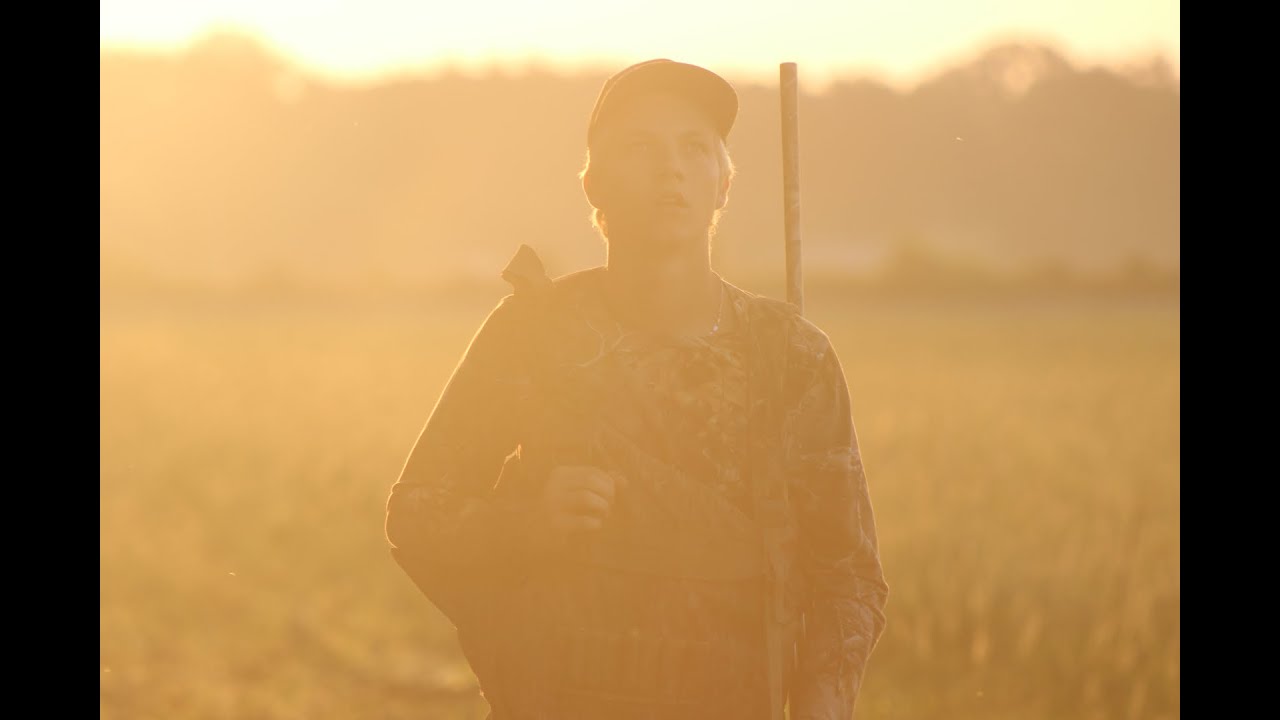 Rice Field Hunt (banded mallard) - YouTube