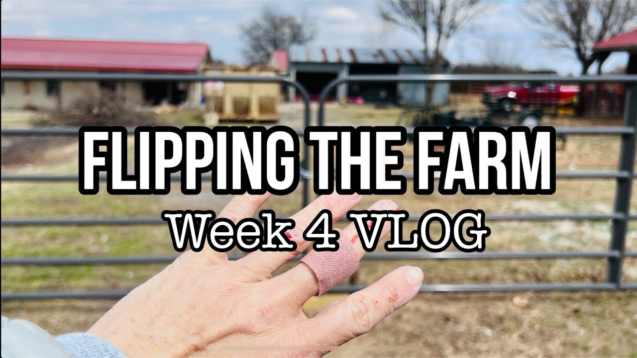 FLIPPING the FARM Week 4 VLOG - YouTube