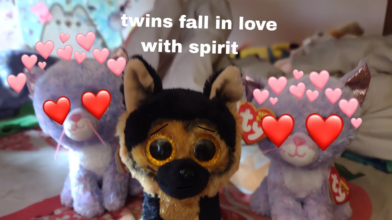 the twins fall in love with spirit the new beanie boo 😍 #beanieboos ...